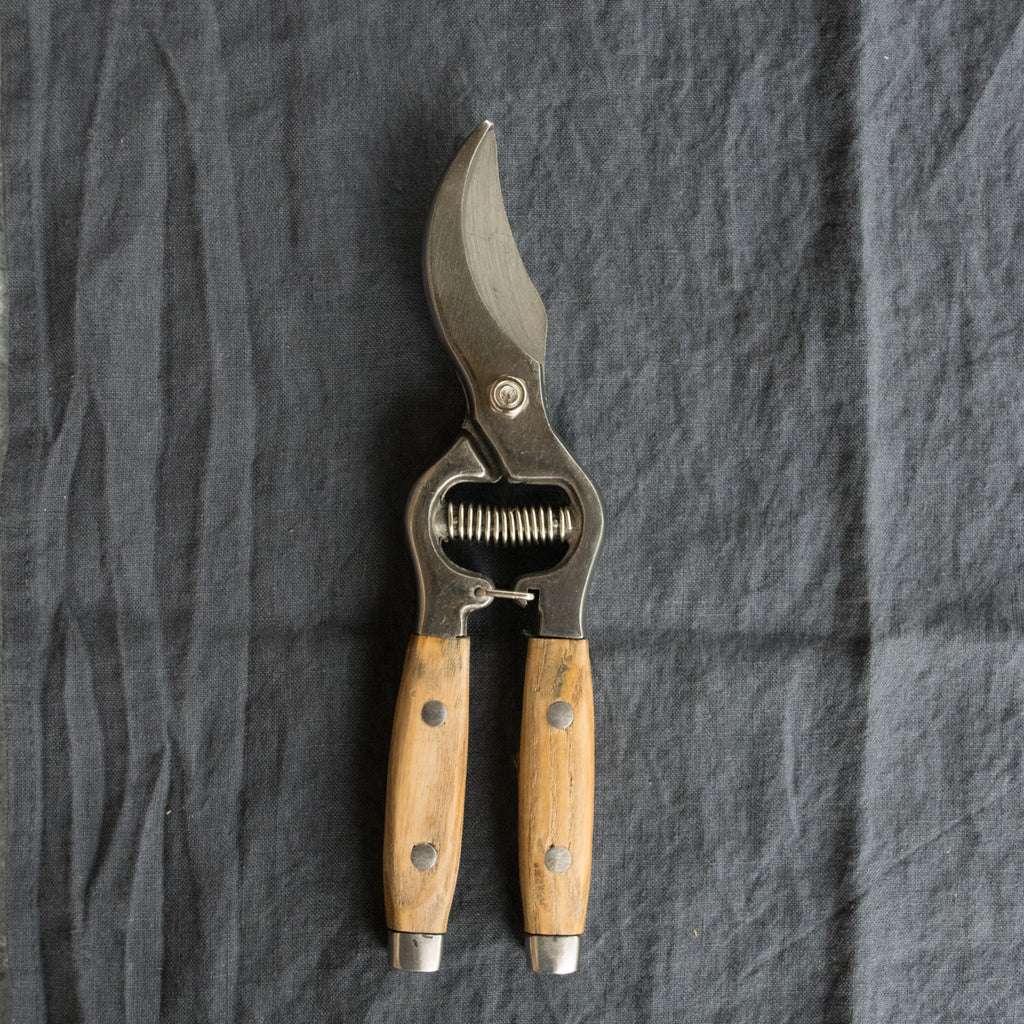 Secateurs, stainless steel blade and ash timber handle - Odgers and ...