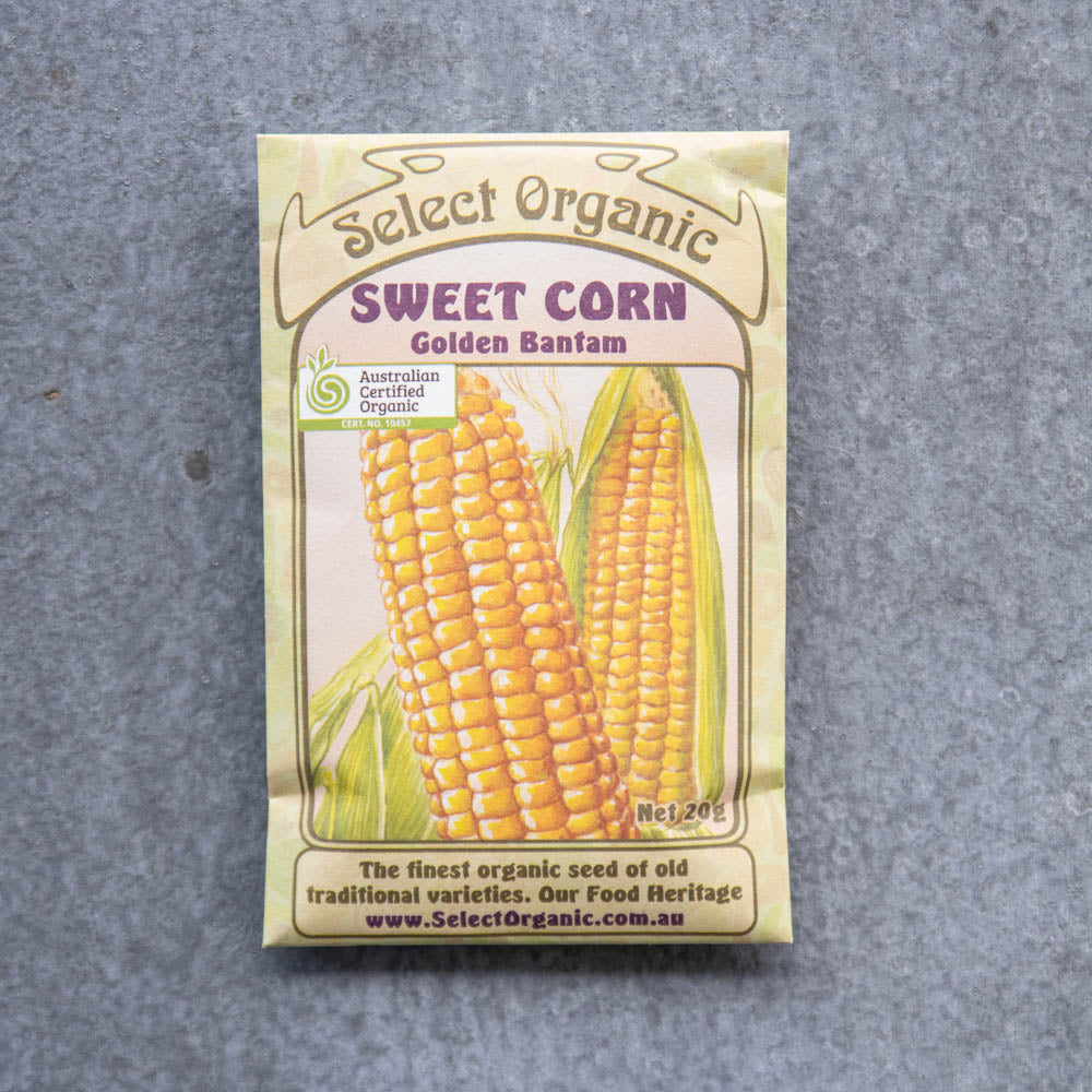 Select Organic Seeds - Certified Organic Seeds - Odgers and McClelland ...